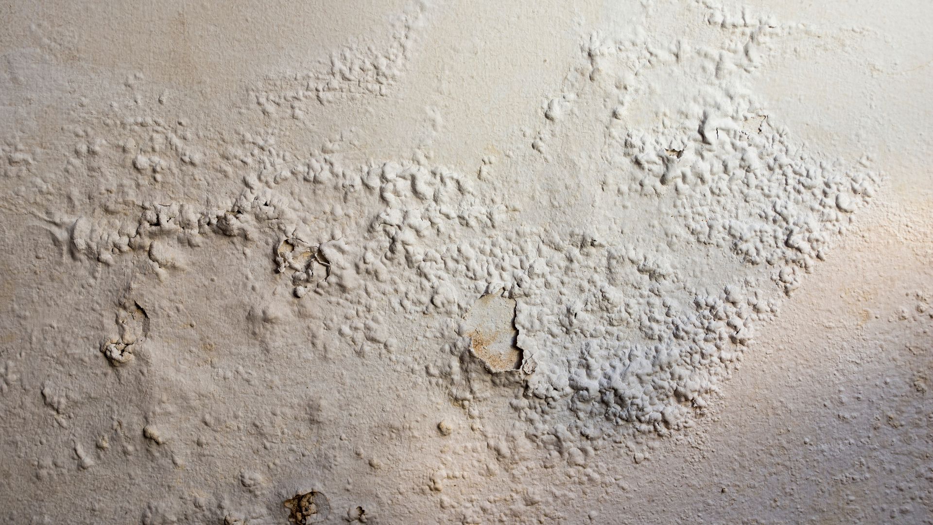 Comment assainir un mur humide extérieur ? - Renovcanalisation